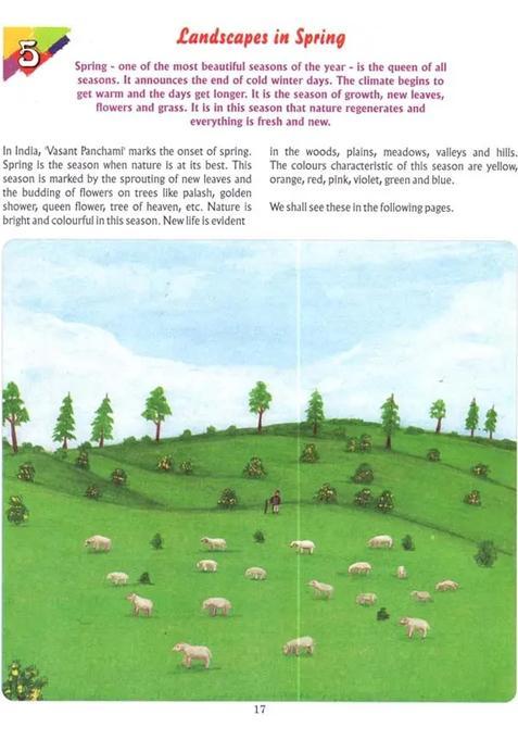 Buy Women I Can Paint Landscapes Of The Different Regions Of India ...